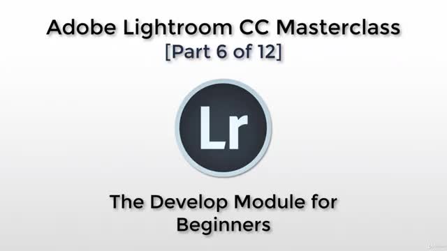 Adobe Lightroom CC – The Develop Module for Beginners - نماشا