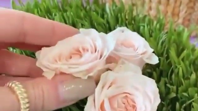 بایرام دی ترکی ماهنیسی کپشن - نماشا